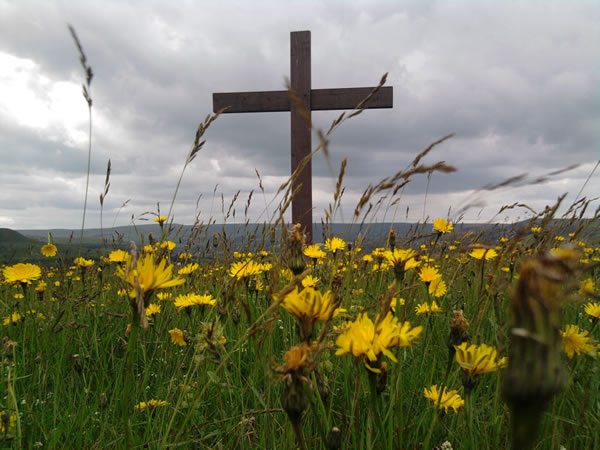 Local Traditions | Springhill